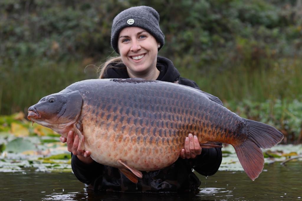 The glass common | Total Carp